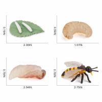 China Realistic 4 PCS Bee Animal Life Cycle Insect Growth Model Figure Cake Toppers Toys For Boy Girl Kid for sale
