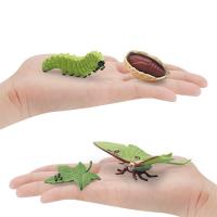 China Actias Ningpoana Life Cycle Figure Model Toy For Boys Girls Kids for sale