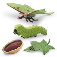 China Actias Ningpoana Life Cycle Figure Model Toy For Boys Girls Kids for sale
