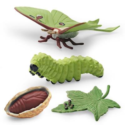 China Actias Ningpoana Life Cycle Figure Model Toy For Boys Girls Kids for sale