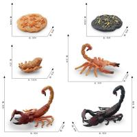 China Scorpion Life Cycle Figure Model Toy For Boys Girls Kids for sale