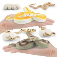 China Python Boa Life Cycle Figure Model Toy For Boys Girls Kids for sale