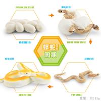China Python Boa Life Cycle Figure Model Toy For Boys Girls Kids for sale