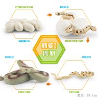 China Python Boa Life Cycle Figure Model Toy For Boys Girls Kids for sale