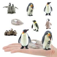 China Penguin Life Cycle Figure Model Toy For Boys Girls Kids for sale