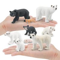 China Black Bear Polar Bear Life Cycle Figure Model Toy For Boys Girls Kids for sale