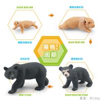 China Black Bear Polar Bear Life Cycle Figure Model Toy For Boys Girls Kids for sale