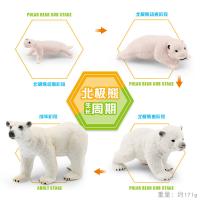 China Black Bear Polar Bear Life Cycle Figure Model Toy For Boys Girls Kids for sale