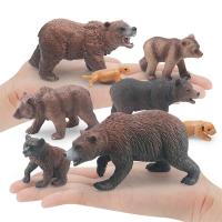 China Brown Bear Life Cycle Figure Model Toy For Boys Girls Kids for sale