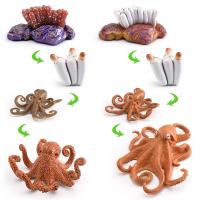 China Squid Octopus Life Cycle Figure Model Toy For Boys Girls Kids for sale