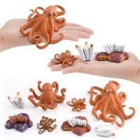 China Squid Octopus Life Cycle Figure Model Toy For Boys Girls Kids for sale