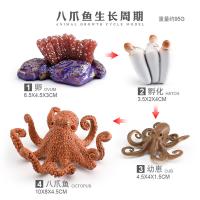China Squid Octopus Life Cycle Figure Model Toy For Boys Girls Kids for sale