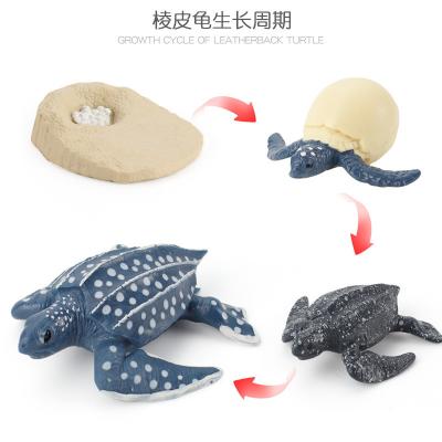 China Leatherback Life Cycle Figure Model Toy For Boys Girls Kids for sale