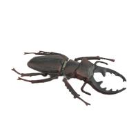 China Insect Figures Model Toy Sorbus Serrata Figurines Party Favors Supplies Cake Toppers Decoration Set Toys for sale