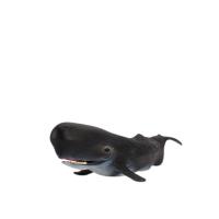 China Assorted Sea Life Model Figure Toy Realistic Details for Imaginative Play Indoor And Outdoor for sale