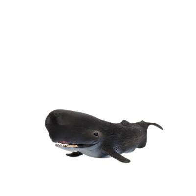 China Assorted Sea Life Model Figure Toy Realistic Details for Imaginative Play Indoor And Outdoor for sale