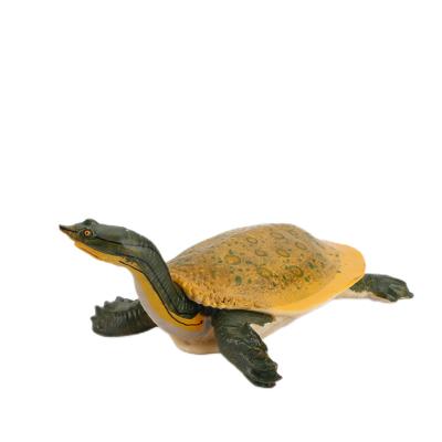 China Educational Sea Animal Figure Set Realistic Details Assorted Colors for Indoor / Outdoor Play for sale