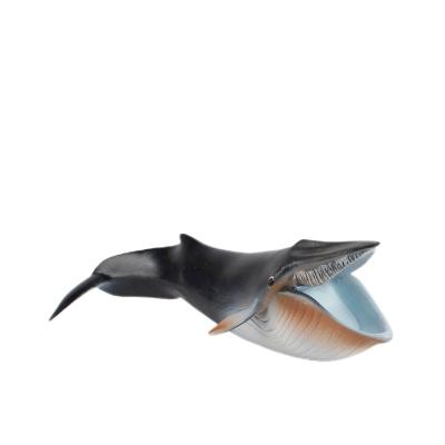 China Oceanic Animal Sculptures Set For Kids Realistic Educational Play Toy Collection for sale
