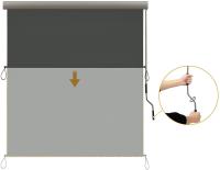 China Sun and Privacy Protection Extendable Outdoor Roller Blind with Hand Crank Mechanism for sale