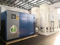 China 0.3~0.4 Mpa Pressure PSA Oxygen Generator Used In Making Ozone Longer Service Life for sale