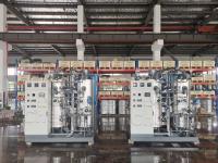 China Nitrogen Purification System With Lower Consumption, Contributing To Cost Savings And Environmental Sustainability for sale