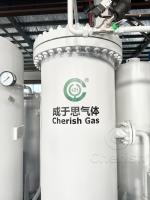 China Efficient Nitrogen Gas Purifier PSA Nitrogen Purification Generator for sale