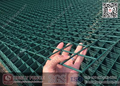 China Welded Wire Mesh Fence Panels | PVC coated RAL6005 Green Color Fence Panel for sale