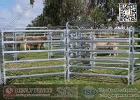 China China 1.6m high Corral Panels (Supplier) | oval pipe Horse Fence Panel for sale