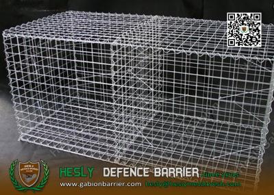 China Galfan Coated Welded Mesh Gabion Cage | 2X1X1m | 50X50mm mesh opening for sale