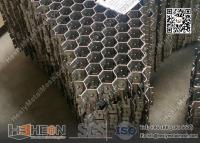 China 310S 2.0X20X50mm  Hex mesh for Refractory Lining | China Hexagonal Grid Factory for sale