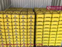 China 150mm height BLOW Mould Temporary Fence Plastic Feet | China Temporary Fencing Feet Manufacturer for sale