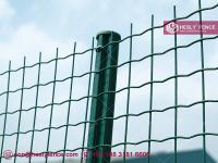 China Roll Mesh Fence | Holland Mesh Fencing | Welded Mesh Roll Fence | Euro Mesh Fence for sale