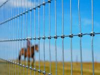 China S Knot Wire Mesh Fence, Horse Mesh Fence, galvanized, 2X50m, HeslyFence Chinese Field Mesh Fence Supplier for sale
