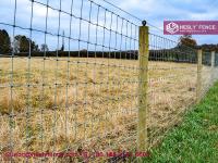 China S Knot Wire Mesh Fence, Horse Mesh Fence, galvanized, 2X50m, HeslyFence Chinese Field Mesh Fence Supplier for sale