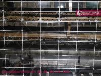 China S Knot Wire Mesh Fence, Horse Mesh Fence, galvanized, 2X50m, HeslyFence Chinese Field Mesh Fence Supplier for sale