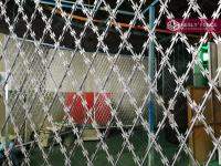 China Diamond Welded Razor Mesh Sheet, 1.8X6.0m, Powder coated, China HeslyFence for sale