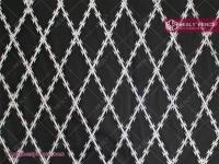 China 2.1mX6.0m, 75X150mm Rhombus Razor Mesh Sheet Fence | China Welded Razor Mesh Supplier for sale