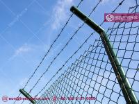 China Dark Green PVC coated Chain Link Mesh Fence | 4.75mm wire | 50mm diamond hole | Hesly Fence - China for sale