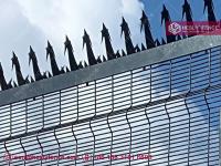 China 358 Anti-climb Security Fence with Powder coated Green Color, China Wire Mesh Fence Factory for sale