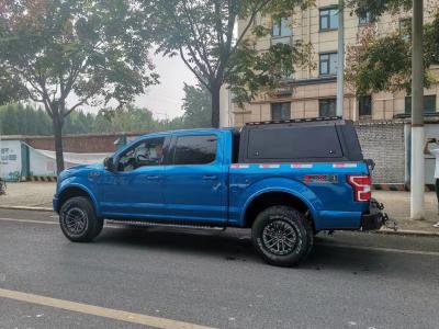China OEM Powder Coating 08-14 FORD Canopy Purple Horn Ford F150 Truck Caps for sale