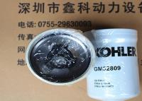 China KOHLER diesel generator parts,Filters for Kohler,ED0021751650-S,524837,GM48728,GM50263,343219,GM48727,GM101994,359771 for sale