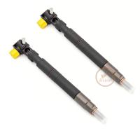 China EJBR00301D Engine Diesel Injector EMBR00301D EJBR5001D EJBR3001D for sale