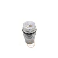 China Diesel Common Rail Pressure Valve 1110010014 1110010029 51103040291 55230826 High Quality 100% New for sale
