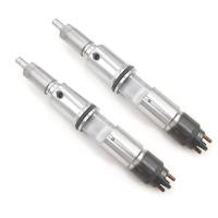 China Common Rail High Pressure Fuel Injector 0445120309 Diesel Engine Fuel Injector Assembly 0445120232 for sale