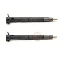 China Fuel Injector 28272472 A6510702387 AAHDP03031 9M5Q-9F593-BA 100% New Excavator Parts for sale