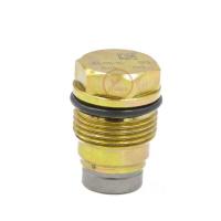 China Common Rail Fuel Pressure Limiter Overflow Valve 1110010022 Diesel Engine Parts for sale