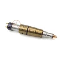 China Common Rail Injector Assembly 2872056 2872284 2872405 4307217 4326959 Heavy Duty 100% New for sale