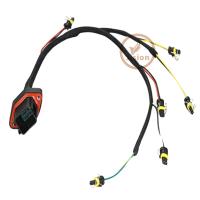 China Caterpillar 330C 330D Excavator C9 Engine Fuel Injector Wiring Harness 4190841 for sale