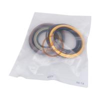 China EC210D PC200-8 Excavator Bucket Cylinder Sealing Kit 14589132 High Quality 100% New for sale