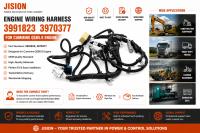 China QSB5.9 Engine Electrical Wiring Harness Assembly 3970377 / 3991823 for sale